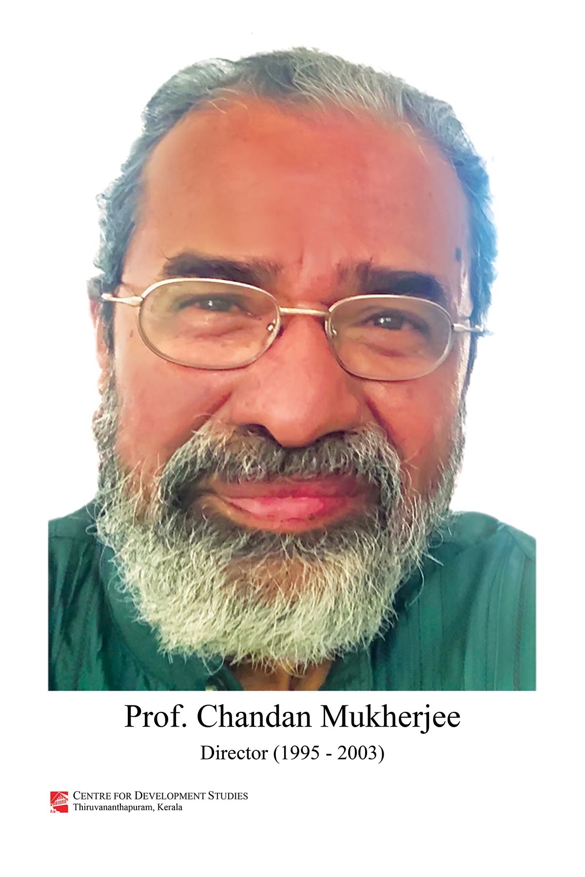 Director | Centre for Development Studies